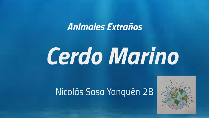 Cerdo Marino by Claudia Quintero on Prezi