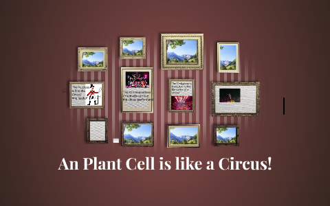 A Cell is like a Circus! by Selma Redzovic on Prezi