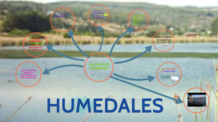 QUE SON LOS HUMEDALES? by Maria Castro on Prezi