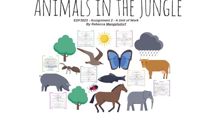 Animals of the Jungle - A Unit of Work - Grade 2 by Rebecca Mangelsdorf ...