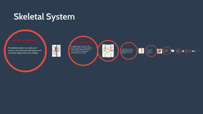Skeletal System by Logan Eubanks on Prezi