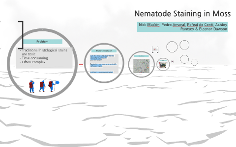 Nematode extraction and staining by Eleanor Dawson on Prezi