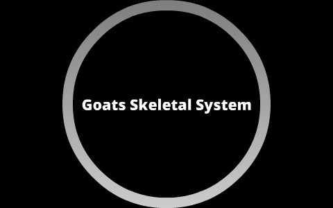 Goats Skeletal System by Ashley Yeager on Prezi