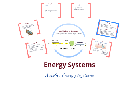 Aerobic Energy System by Grace Tidmarsh on Prezi