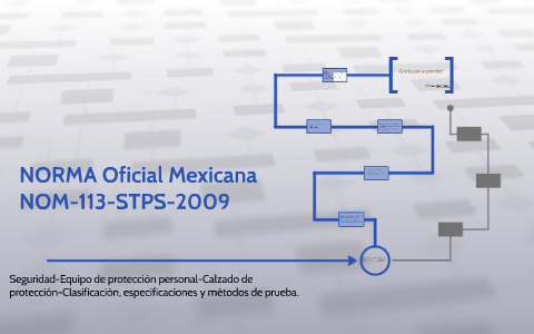 NORMA Oficial Mexicana NOM-113-STPS-2009 by Elizabeth Olmeda on Prezi
