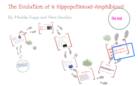 Evolution of a Hippo by bobby dabilder on Prezi