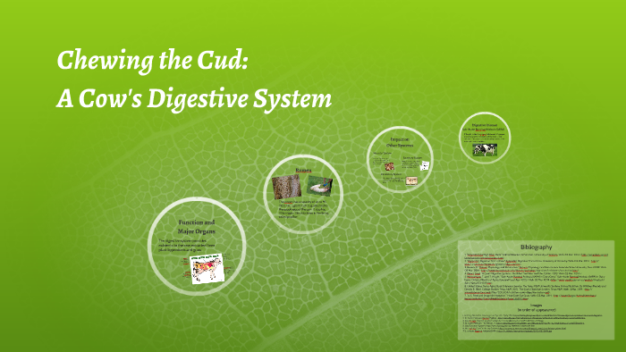 Chewing the Cud - by General Science A on Prezi