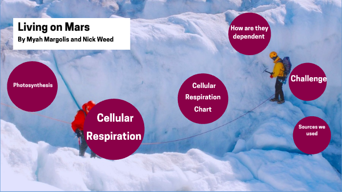living on mars by Myah Margolis on Prezi