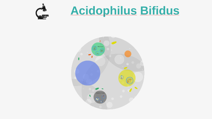 Bti Bacteria by cheryl hariono on Prezi