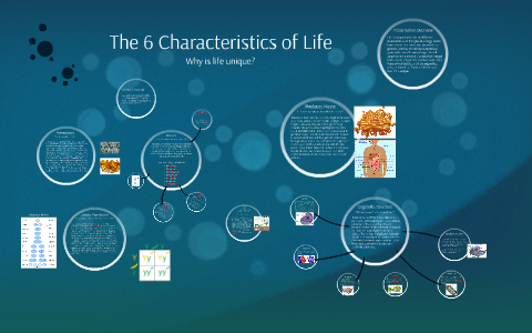 The 6 Characteristics of Life by MMS Student