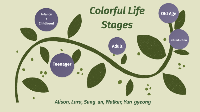 5 stages of life by Lara Kanatbek on Prezi