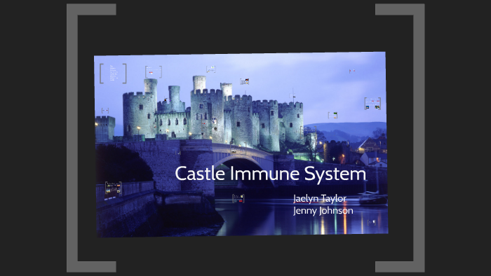 Castle Immune System by Jaelyn Taylor on Prezi