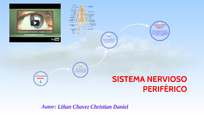 SISTEMA NERVIOSO by christian liñan chavez on Prezi