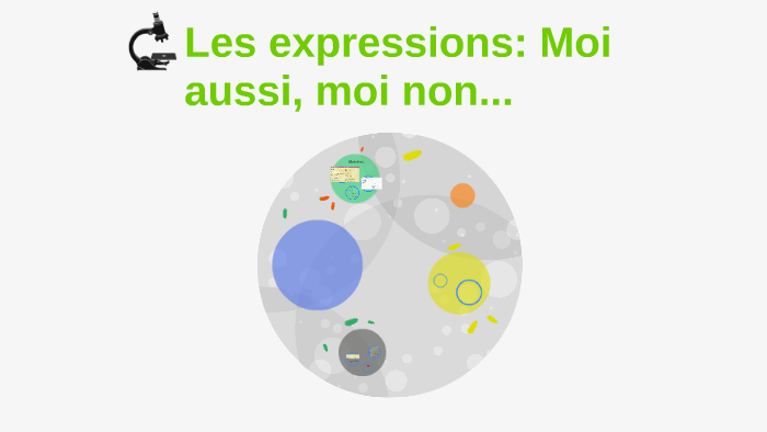 Les expressions: Moi aussi, moi non... by martine castor on Prezi