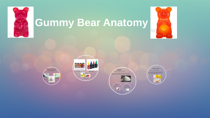 Gummy Bear Anatomy by Daniella Telada on Prezi