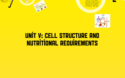 Cell Structure and Nutritional Requirements by Daniella Spooner Lagos ...