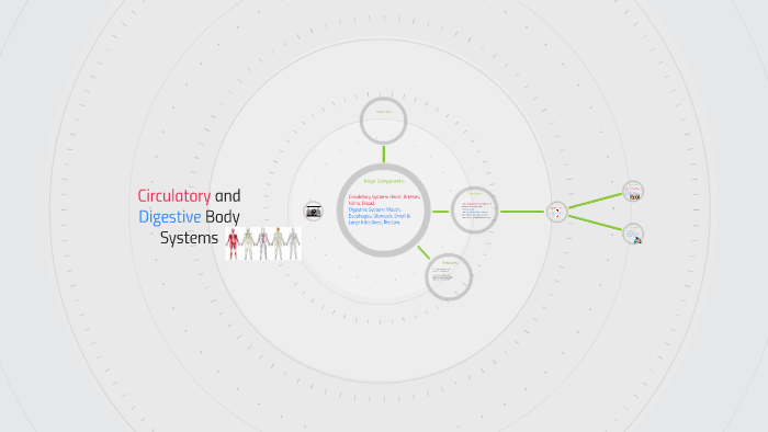 Circulatory and Digestive Body Systems by Kiera Carr-Garrity on Prezi