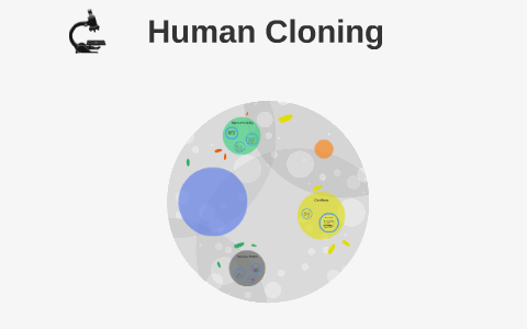 Human Cloning by Josephine Delaney-Soesman on Prezi