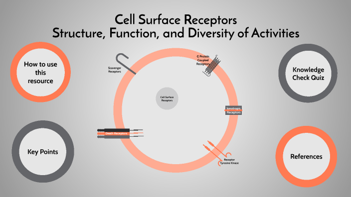 Cell Surface Receptor