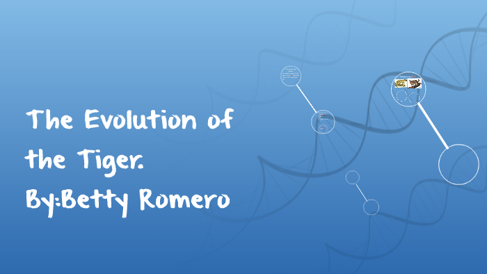 The Evolution of the Tiger by Betty Romero on Prezi