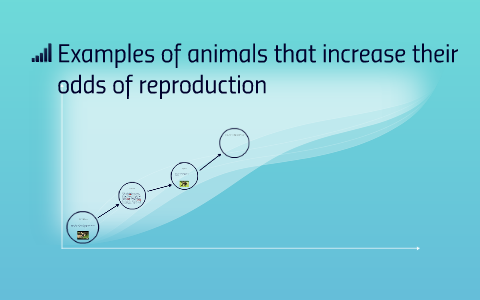 Examples of animals that increase their odds of reproduction by Billy ...