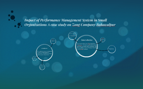 Impact of Performance Management System in Small Organizatio by ...