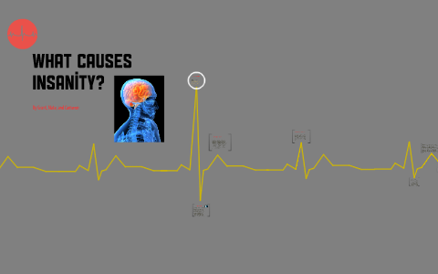 What Causes Insanity? by Grant Westfall on Prezi