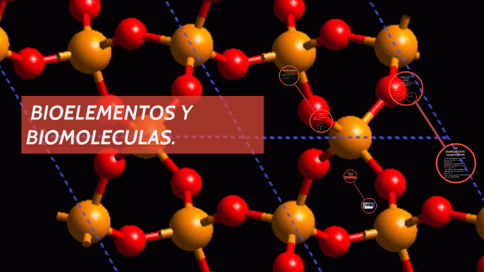 BIOCOMPUESTOS Y BIOELEMENTOS. by maria fernanda bonilla jimenez on Prezi
