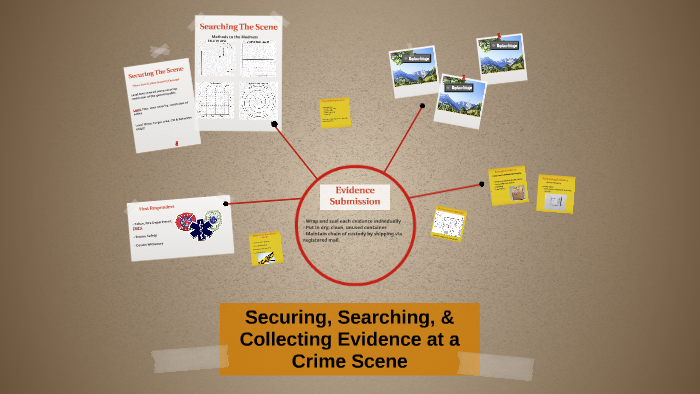 Securing, Searching, & Collecting Evidence at a Crime Scene by Meghan ...