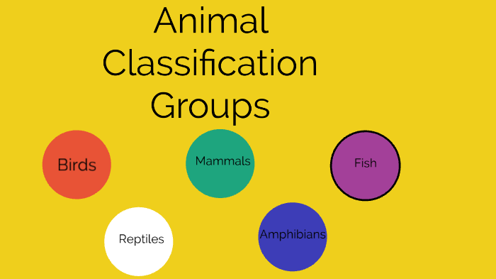 Zoo Animal Classification Presentation by Melissia Lee on Prezi