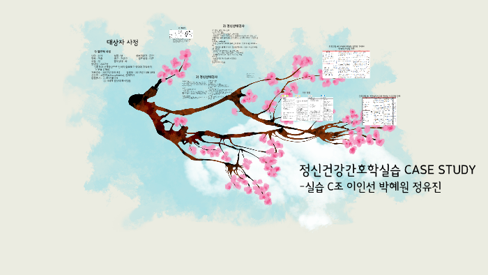 정신건강간호학실습 CASE STUDY by Park Hyewon on Prezi