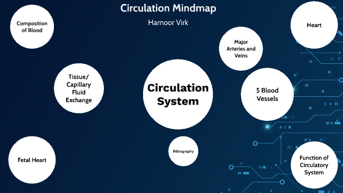 Circulation Mindmap by Harnoor Virk on Prezi