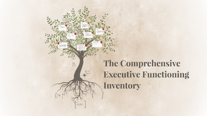The Comprehensive Executive Functioning Inventory by Victoria Hatton on ...