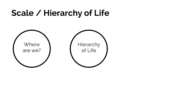 Scale / Hierarchy of Life by Kathleen Day on Prezi