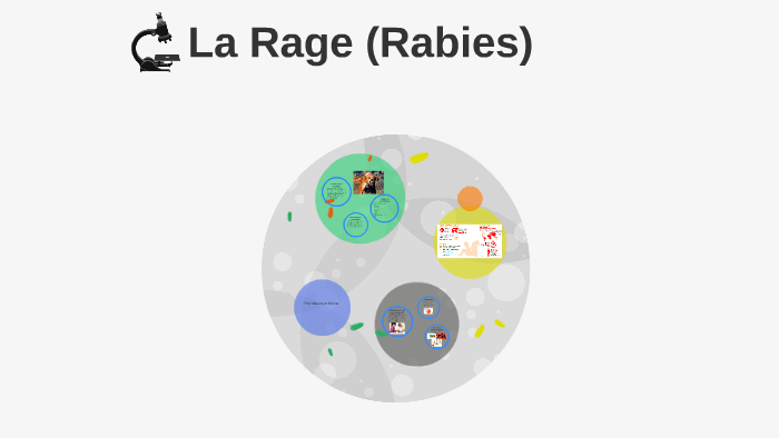 La Rage (Rabies) by Aly and Hadeza