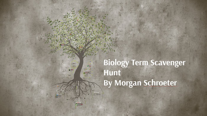 Biology Term Scavenger Hunt by Morgan S on Prezi