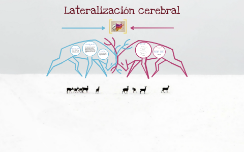 Lateralización. Metodología y función. by Karla Durand on Prezi