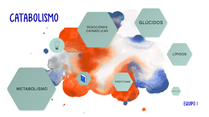 CATABOLISMO by Melissa Pacindo on Prezi