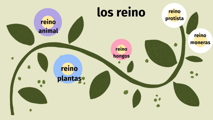 clasificacion de los reinos by alvaro rodriguez ranea on Prezi