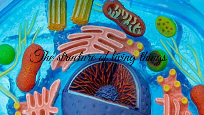 The structure of living things by Jazzy Morris on Prezi