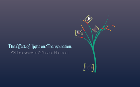 The Effect of Light on Transpiration by Cristi Marie on Prezi