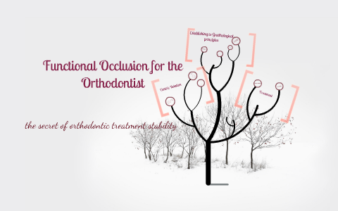 Functional Occlusion for orthodontics by Ahmad El Shennawy on Prezi