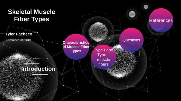 Module 5 Skeletal Muscle Fiber Types by Tyler Pacheco