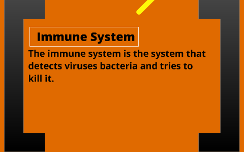 Immune System Science Project by Ilan Ben-Dov