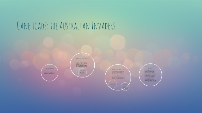 Cane Toads: The Australian Invaders by Carisa Chidley on Prezi