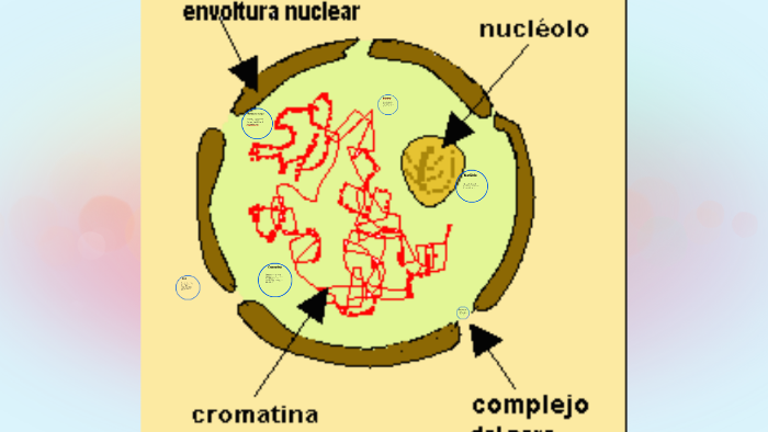 Poro nuclear by Xabier Garcia on Prezi
