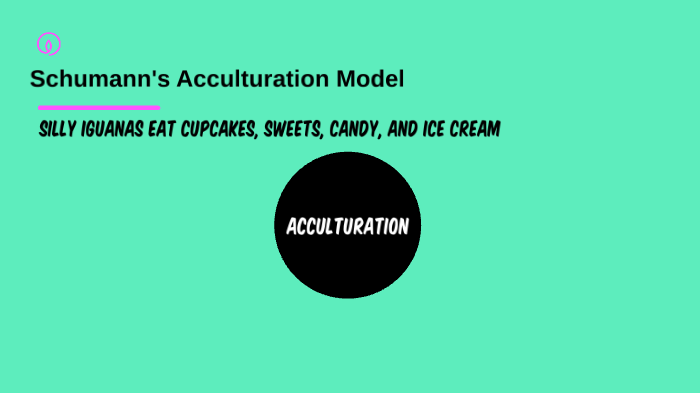 Schumann's Acculturation Model by Halli Shasteen on Prezi