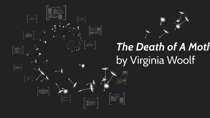 The Death of a Moth by bio class on Prezi