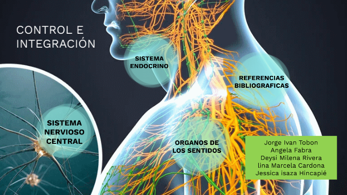 Control e Integracion by jessica isaza on Prezi