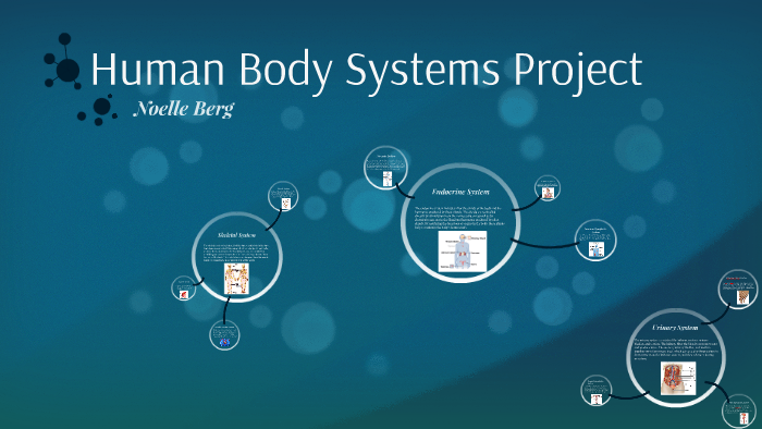 Human Body Systems Project by Noelle Berg on Prezi